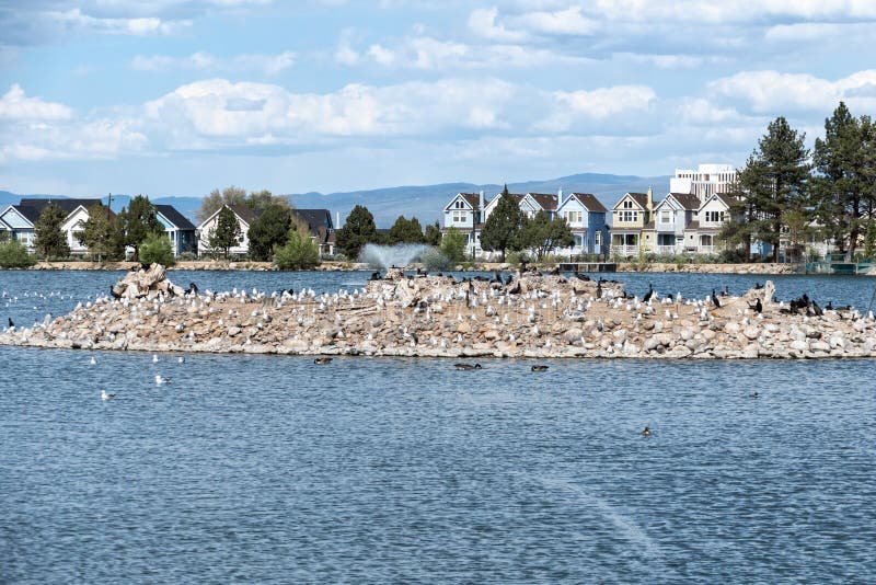 Virginia Lake, Reno, Nevada Stock Photo - Image of nature, hill: 70218612