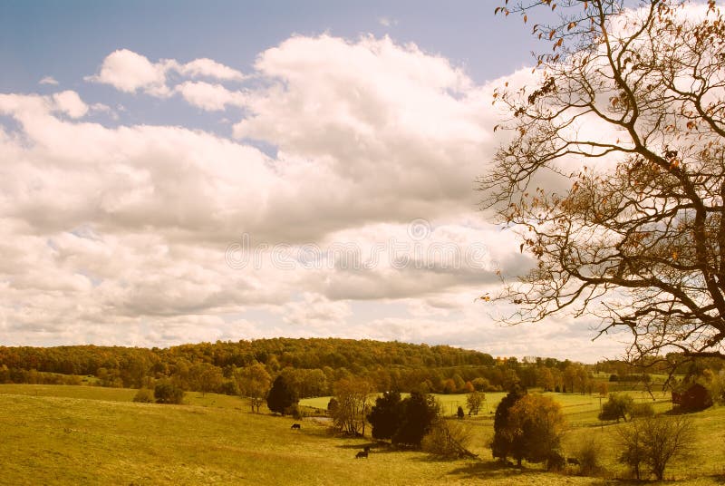 Virginia Pasture stock image. Image of trees, county, backgrounds - 1471777