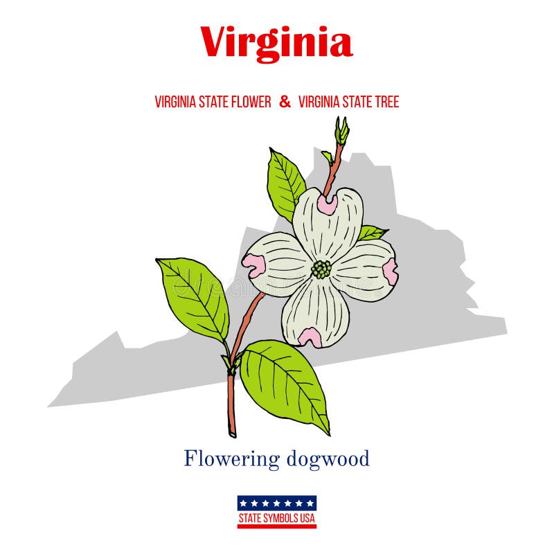 Virginia. Set of USA Official State Symbols Stock Vector - Illustration ... Virginia. Set of USA Official State Symbols Stock Vector - Illustration ...