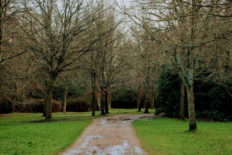 Virginia water walk stock photo. Image of walk, canon - 172931652