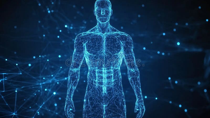 Virtual Reality Human Body Wireframe Mesh for Medical Visualizations ...
