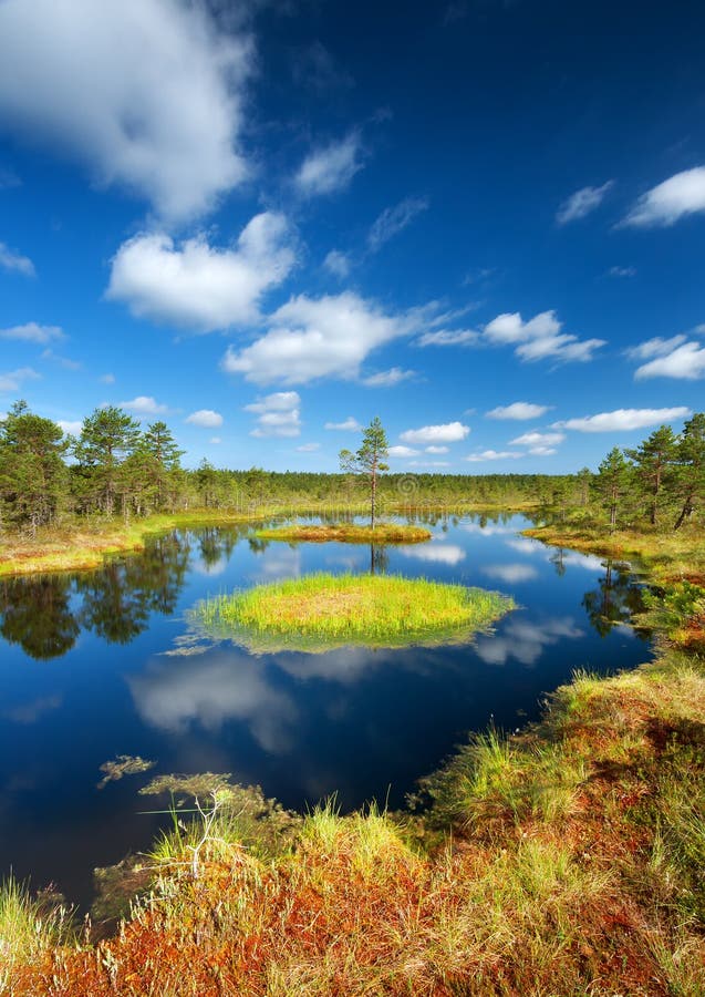 Viru Bog in Lahemaa National Park in Estonia Stock Image - Image of ...