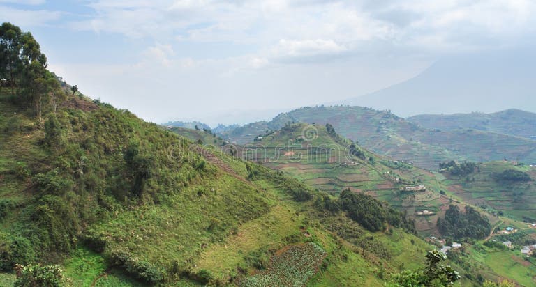Virunga Mountains Aerial View Stock Photo - Image of cloud, forest ...