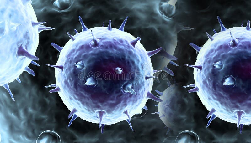 Nucleolus, Nucleus, 3d Stem Cell. Stock Illustration - Illustration of ...