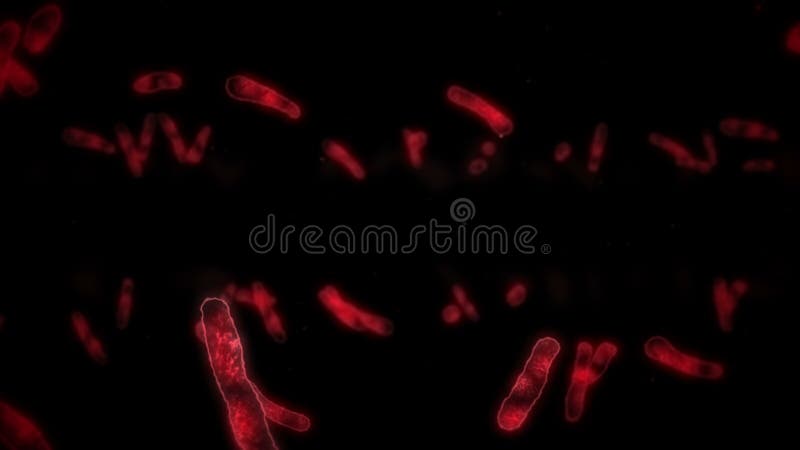 Virus Cell in Linear Shape. Pathogenic Viruses Causing Infection. Loop ...