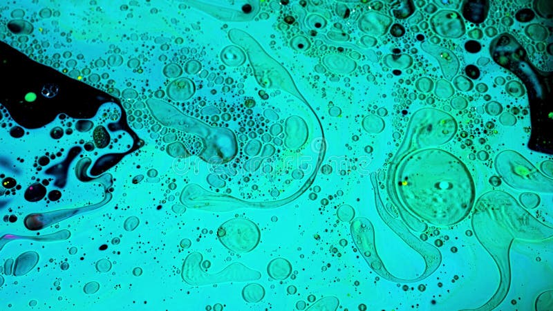 Close-up of Blue Bacteria Cells Under a Microscope Stock Footage ...