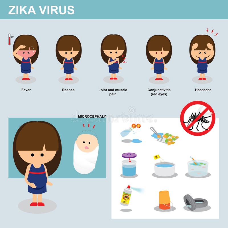 Virus de Zika infographic ilustración del vector. Ilustración de ...