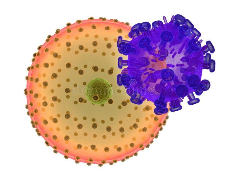 Virus Infecting Cell Stock Images - Image: 11994234