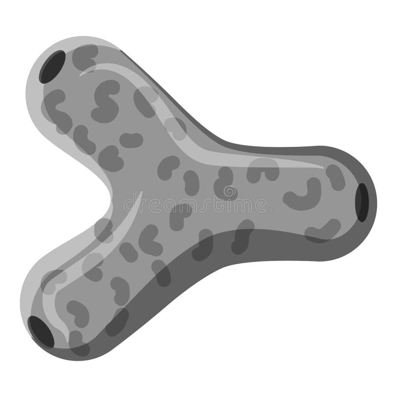 Gray Bacteria Stock Illustrations – 1,795 Gray Bacteria Stock ...