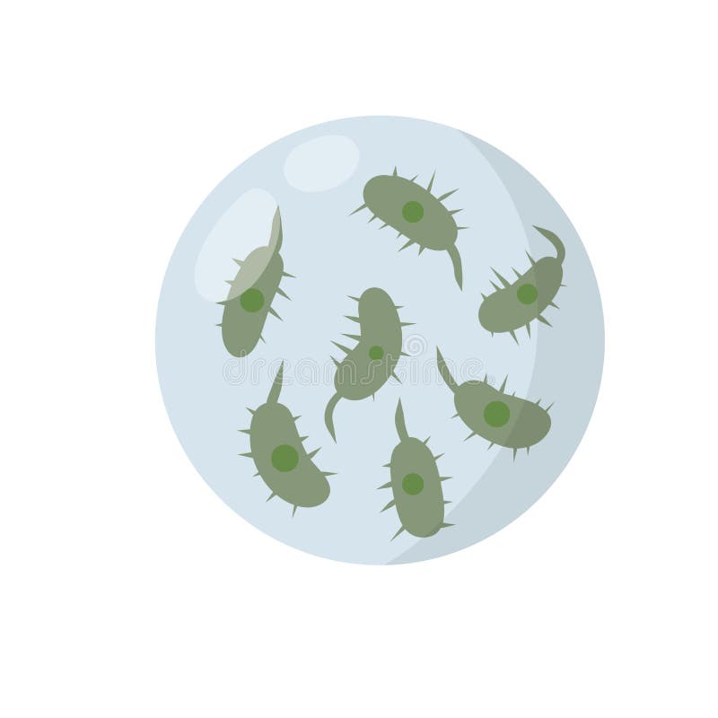 Bacterium Proliferation Stock Illustrations – 26 Bacterium ...