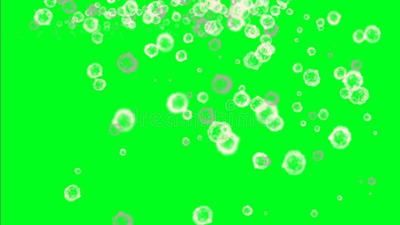 Virus Molecule in Stream on the Green Screen Stock Footage - Video of ...