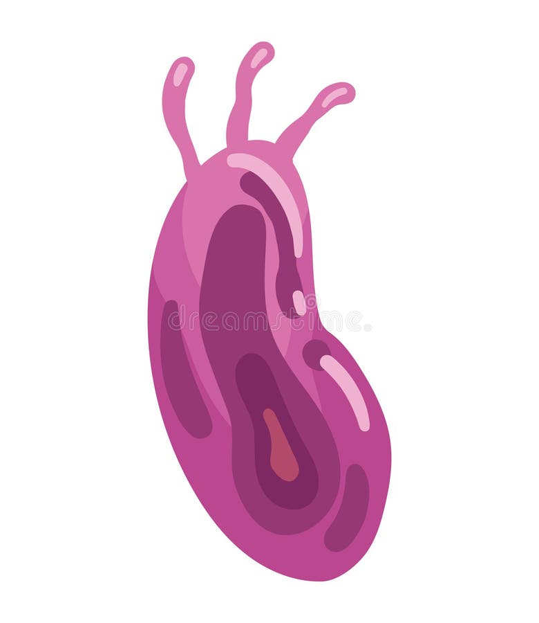 Virus nipah infection stock vector. Illustration of nervous - 293222011 Virus nipah infection stock vector. Illustration of nervous - 293222011