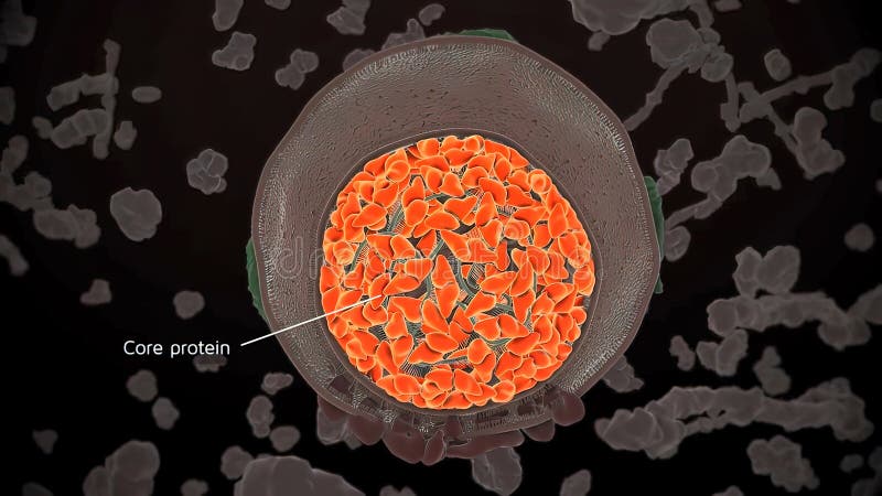 Virus Particles into the Cell Stock Illustration - Illustration of ...