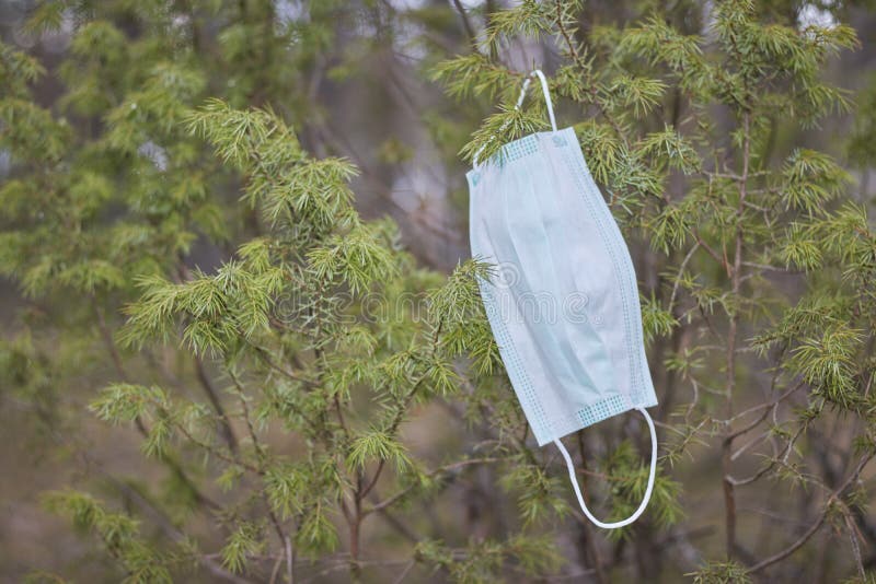 A Virus Protection Mask is Hanging on Trees in a Forest. Problems of ...