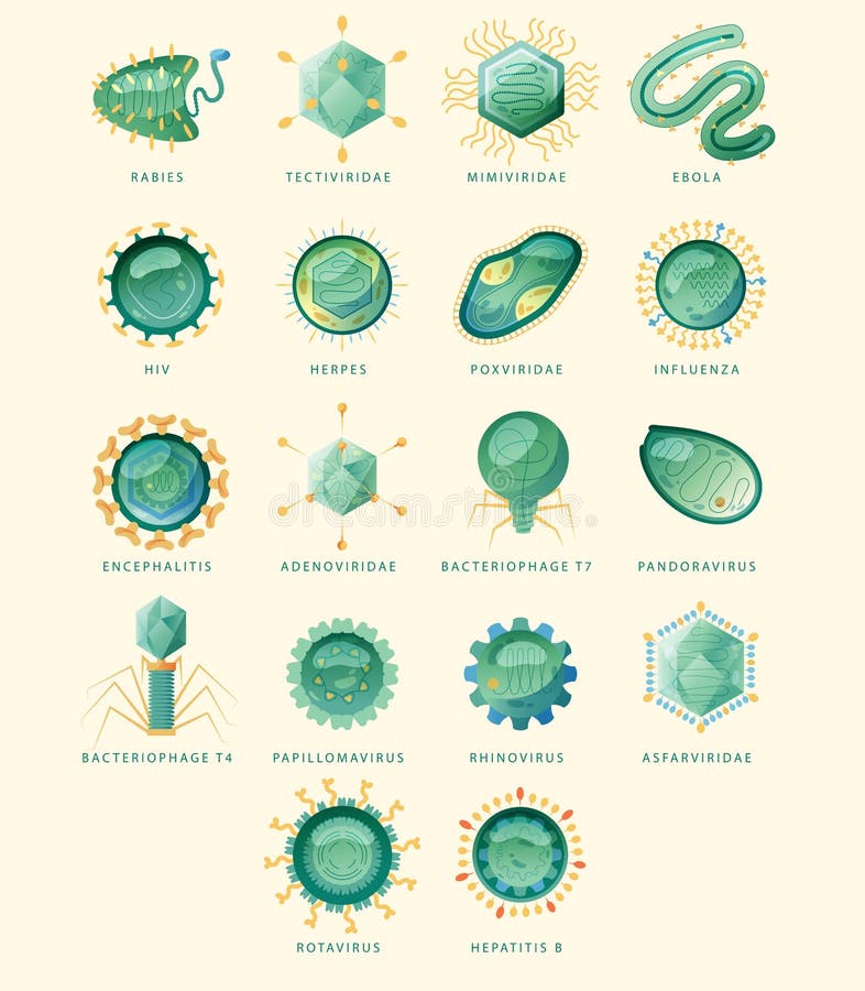 Virus Structure Clipping Path Included Stock Illustration ...