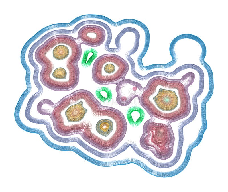 Virus Spread Inside a Cell. Infection and Immunodeficiency Concept ...