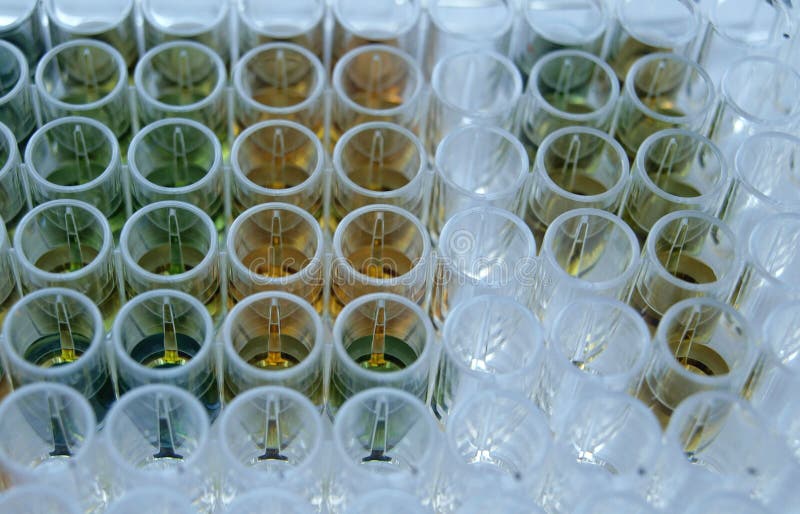 Virus Test Plate in Diagnostic Laboratory Stock Photo - Image of ...