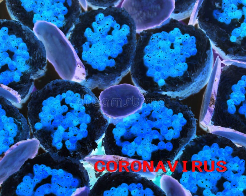 Virus Under Microscope. Bacteria Macro in Blue Colors Stock Photo ...