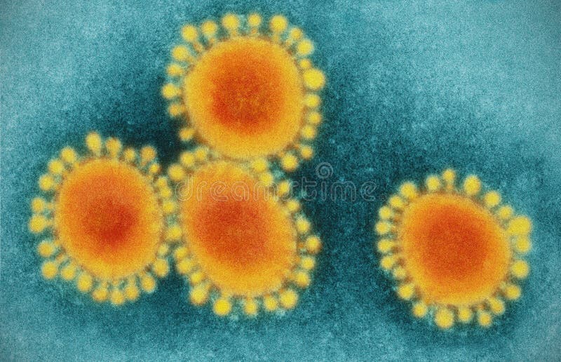 Virus Under Microscope, Closeup Stock Image - Image of epidemic, world ...