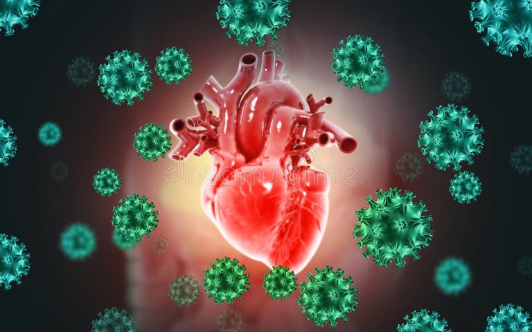 Viruses Affecting the Heart Stock Illustration - Illustration of ...