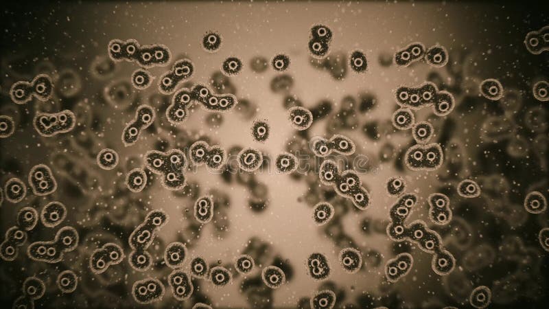 Microscopic Plate of Bacteria Multiplying Themselves Stock Illustration ...