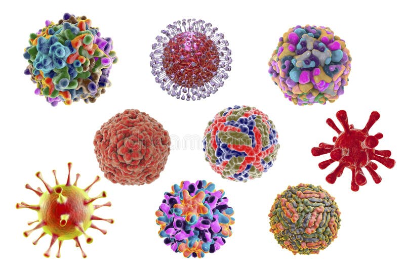 Viruses of Different Shapes Stock Photo - Image of virus, small: 81329412