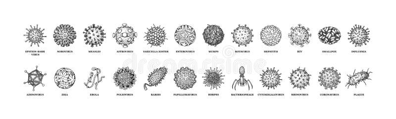 Microscopic Organisms With Names