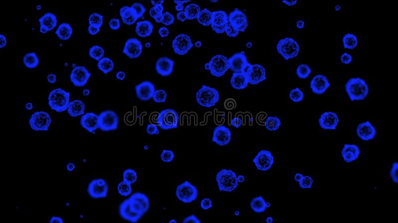 Human Immune System Virus Moving Across Screen Stock Footage - Video of ...