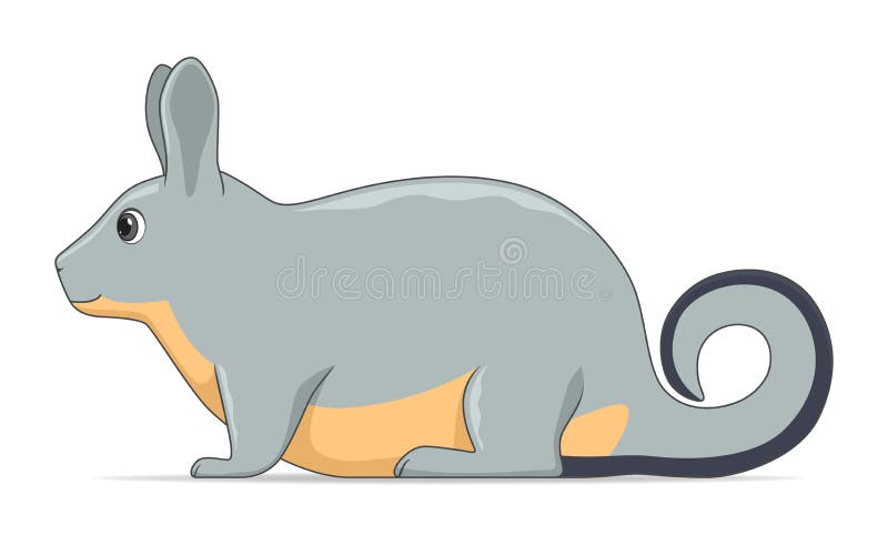 Viscacha Stock Illustrations – 92 Viscacha Stock Illustrations, Vectors ...