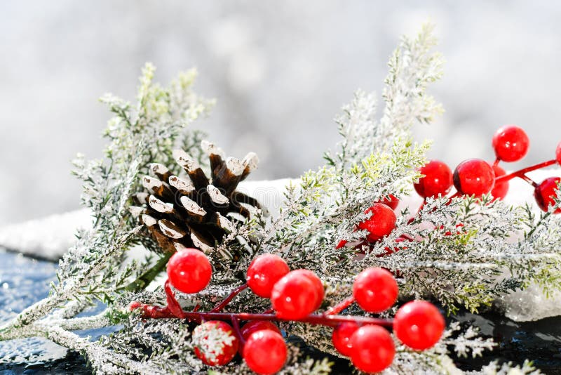 Vischio di natale fotografia stock. Immagine di paesaggio - 17387330