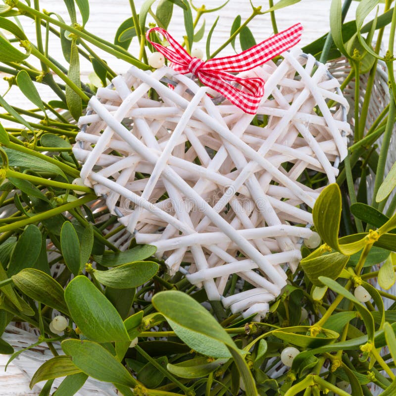 Viscum image stock. Image du homéopathie, fruits, glaces - 35643891