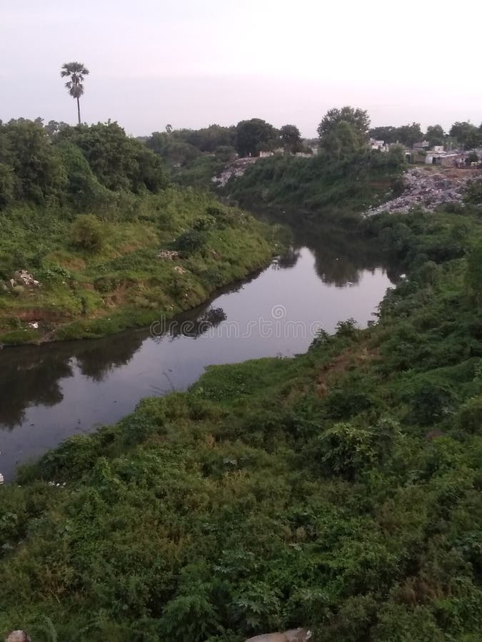 Vishwamitri River and Forest Stock Photo - Image of reservoir ...