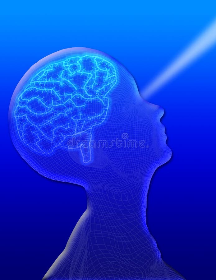 Visión del cerebro stock de ilustración. Ilustración de cerebros - 3201898