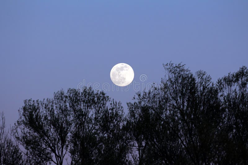 139 Full Moon Visible Day Stock Photos - Free & Royalty-Free Stock ...