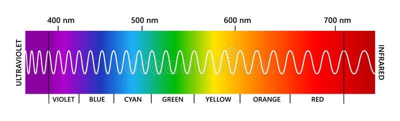Visible Light Spectrum. Optical Light Wavelength. Electromagnetic ...
