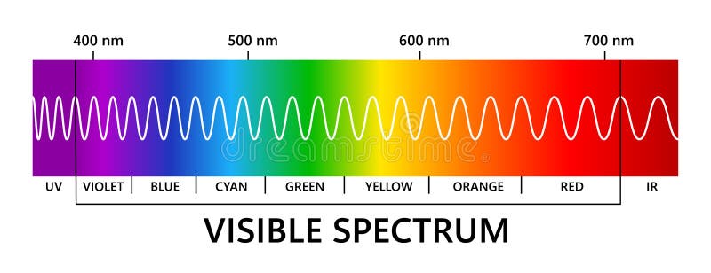 Visible Light Spectrum. Optical Light Wavelength. Electromagnetic ...