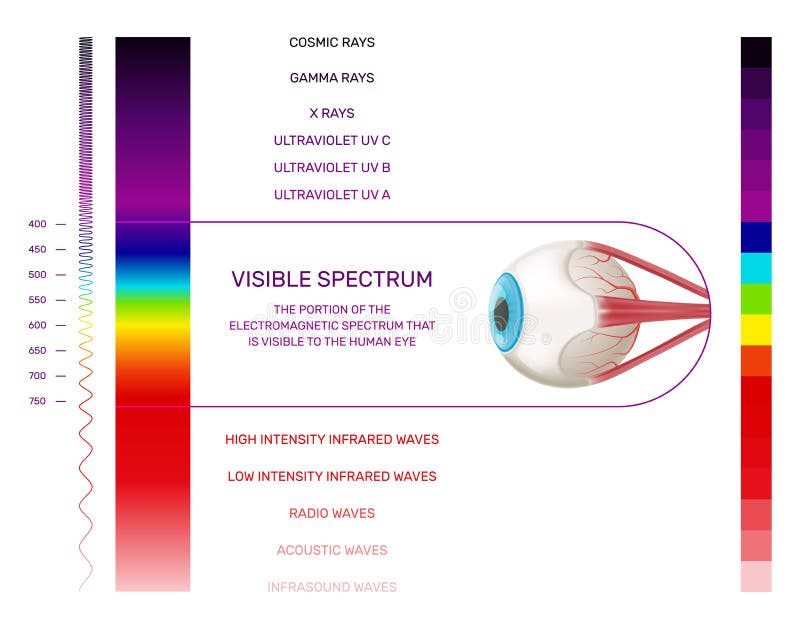 Light Spectrum Graphic stock illustration. Illustration of ultraviolet ...