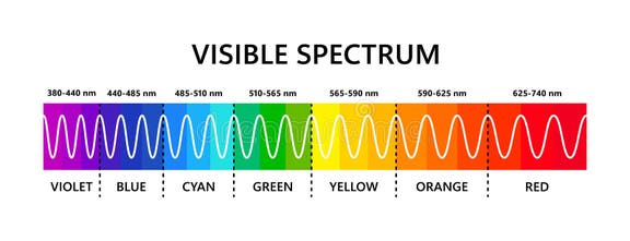 Visible Light Spectrum. Optical Light Wavelength. Electromagnetic ...