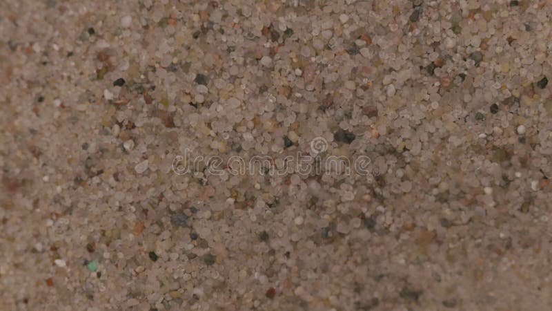 Microplastic in Sand, Contaminated Soil. an Environmental Problem ...