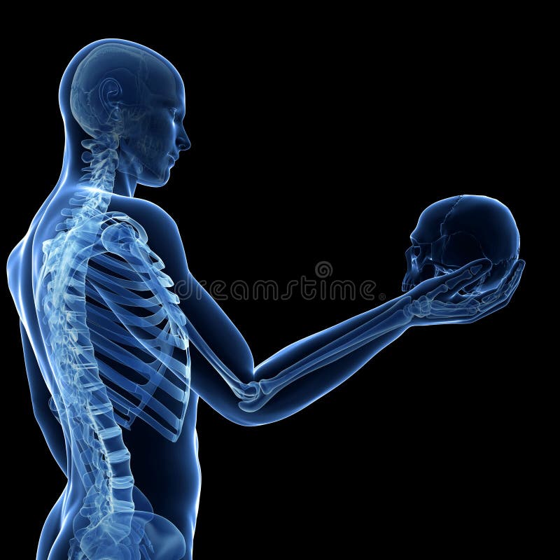 Visible skeleton stock illustration. Illustration of science - 34776495
