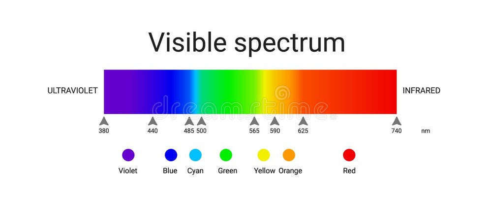 Visible Spectrum Light. Infographic of Sunlight Wavelength Stock ...