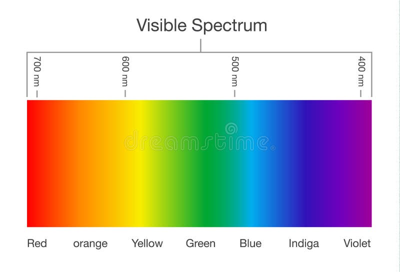 Chart of Visible Spectrum Color. Stock Vector - Illustration of light ...