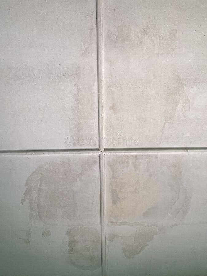 Water Stain on Ceiling stock photo. Image of leak, wall - 359771550
