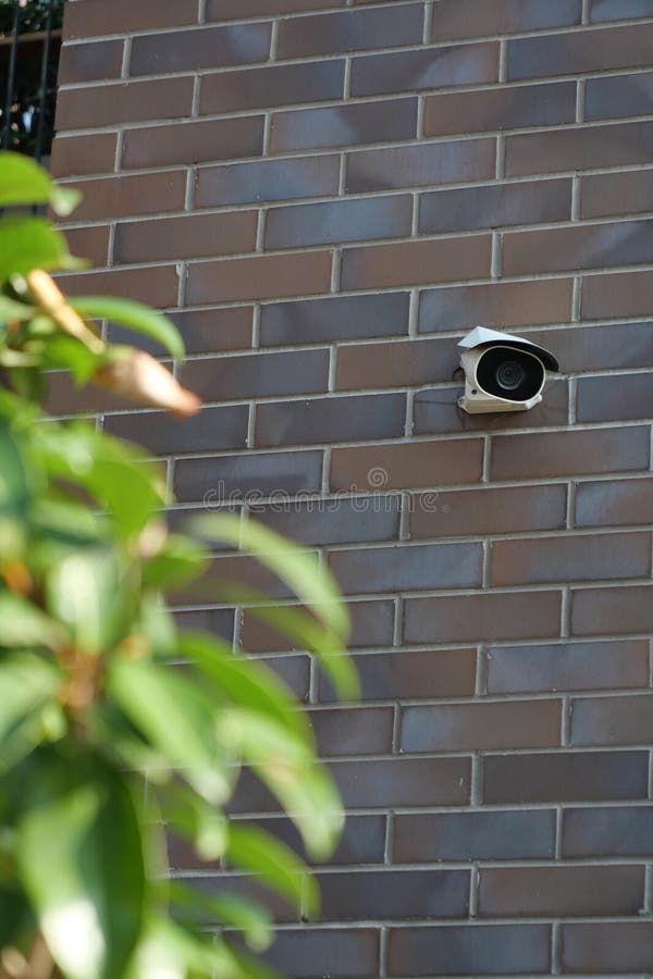A Visibly Damaged Security Camera is Mounted on a Wall with Its Bracket ...