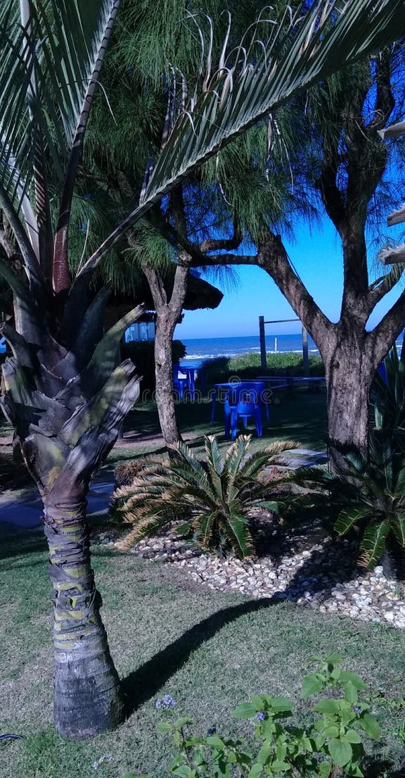 Vision of the beach stock photo. Image of sunny, vision - 120523192