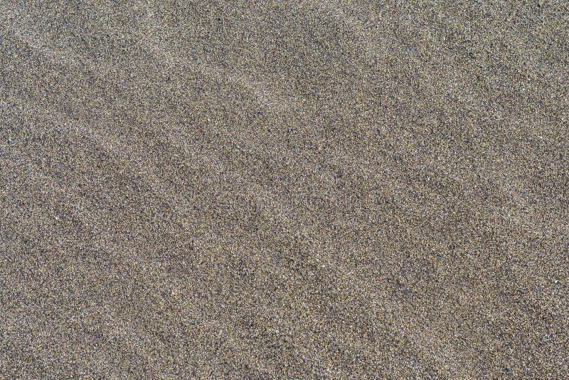 Vision of a Beach Sand Texture. Medium-sized Beach Sand of Warm Yellow ...