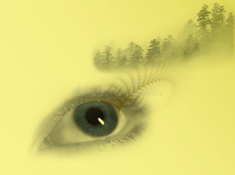 A Vision of Nature stock photo. Image of nature, vision - 179783740