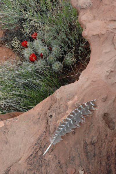 867 Vision Quest Footage Stock Photos - Free & Royalty-Free Stock ...