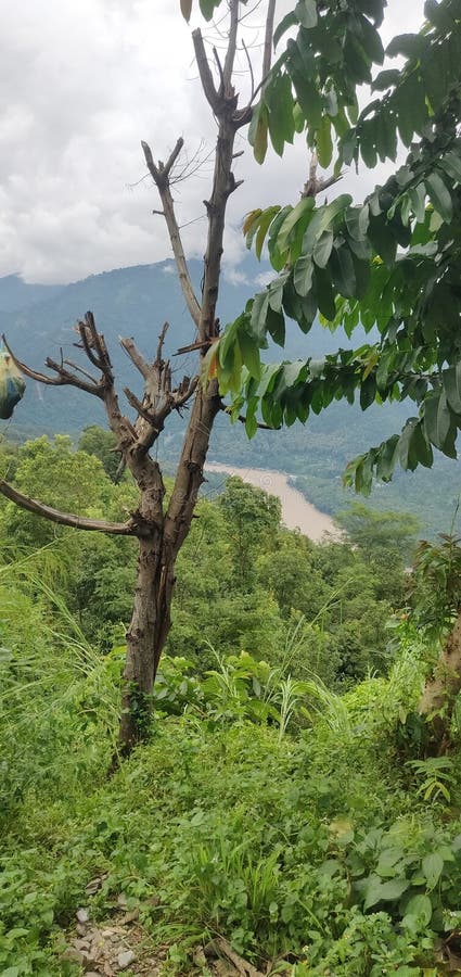 Vision of Two Different Lives, Orisa Stock Image - Image of garden ...