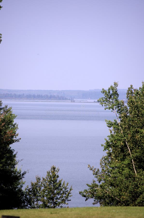 A vision of what we see stock photo. Image of yellow - 59197876